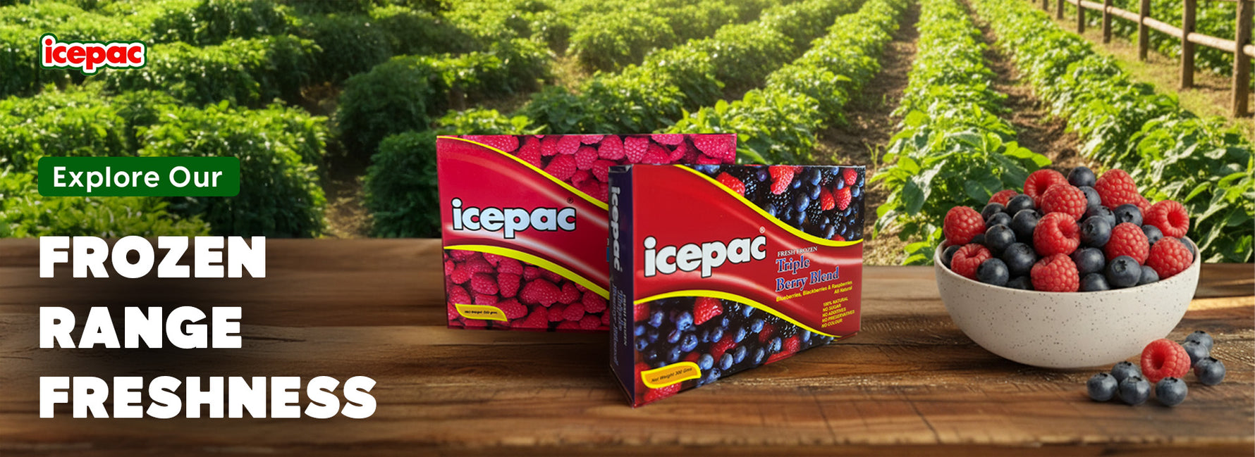 icepac-pk