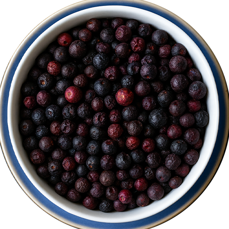 Desi Falsa – icepac-pk